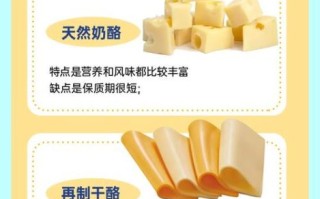 芝士和奶酪的区别_哪种更健康