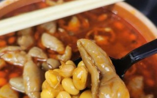 重庆肥肠炖黄豆怎么做_肥肠炖黄豆的正宗做法