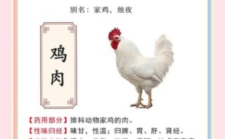 鸡肉的营养价值_鸡肉有哪些药用功效