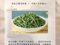 黄山毛峰属于什么茶_如何冲泡黄山毛峰
