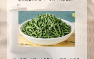 黄山毛峰属于什么茶_如何冲泡黄山毛峰