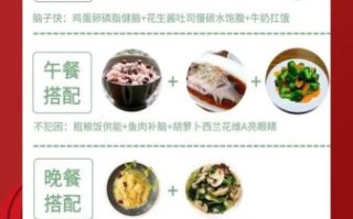 高三学生吃什么补脑_高三学生营养食谱一周搭配
