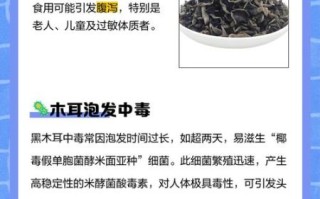 黑木耳的功效与作用及禁忌是什么_什么人不能吃