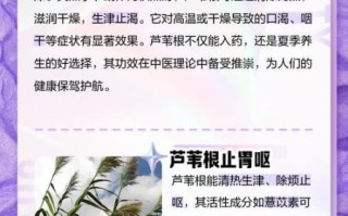 芦苇根的功效与作用禁忌_芦苇根泡水喝的副作用