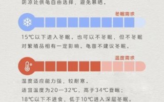 黄喉拟水龟怎么养_黄喉拟水龟饲养环境布置