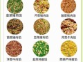 洋白菜饺子怎么调馅_洋白菜饺子怎么包才好吃