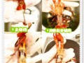 小龙虾怎么杀才干净_小龙虾清洗步骤视频