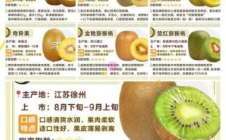 猕猴桃和奇异果哪个营养高_维生素C含量对比