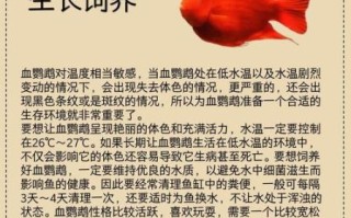 财鱼的功效与作用_财鱼适合什么人吃