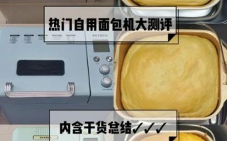 全自动面包机哪个牌子好_家用面包机选购指南