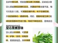 空心菜的功效与禁忌_什么人不能吃