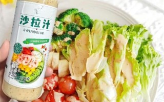 蔬菜沙拉怎么弄适合减肥_低卡沙拉酱怎么调 蔬菜沙拉怎么弄适合减肥_低卡沙拉酱怎么调