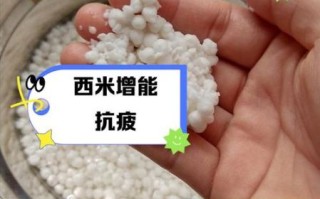 西米的热量是多少_西米减肥能吃吗