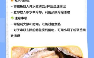 鲍鱼壳可以做什么_鲍鱼壳怎么处理
