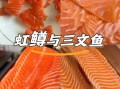 虹鳟鱼是不是三文鱼_如何区分真假三文鱼