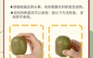 猕猴桃怎么催熟最快_猕猴桃催熟方法大全