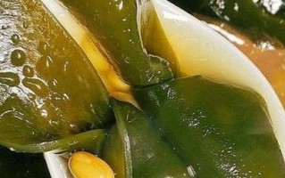 干海带先蒸还是先泡_干海带怎么泡发最快