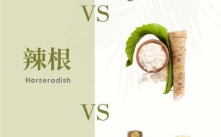 山葵和芥末的口感区别_哪个更辣