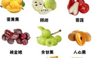 南方水果有哪些品种_南方常见热带水果名称