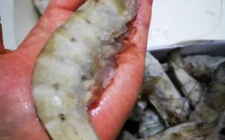 白水煮大虾怎么煮好吃_白水煮虾冷水还是热水下锅