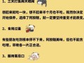 阿胶什么时候吃最好_阿胶的正确吃法