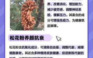 女人喝松花粉有啥好处_松花粉对女性的功效
