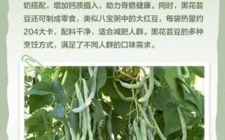 大黑花芸豆的功效与作用_怎么吃最有效