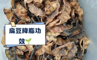 干扁豆图片大全_干扁豆怎么做好吃