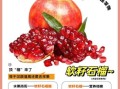 石榴的营养价值与功效_石榴有哪些作用