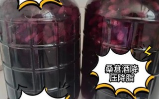 桑葚酒的功效与作用_桑葚酒每天喝多少合适