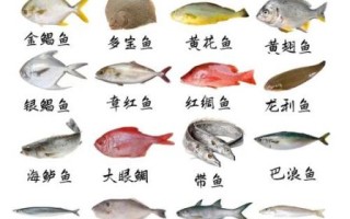烟台海鱼有哪些_烟台常见海鱼图片及名称