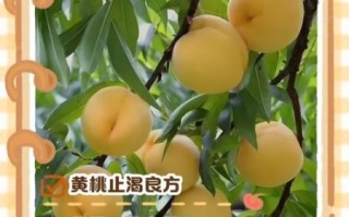 女人吃黄桃有什么好处_黄桃对女性的功效与作用