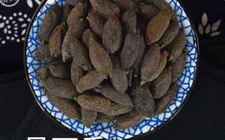 母丁香在卤水中的作用_母丁香用量多少克