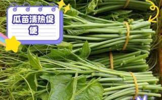 佛手瓜苗孕妇可以吃吗_孕妇吃佛手瓜苗的注意事项