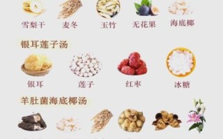 秋季润肺止咳吃什么药膳_秋冬养肺汤方推荐