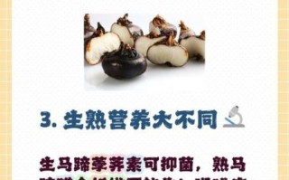 马蹄荸荠怎么吃_马蹄荸荠生吃还是熟吃好