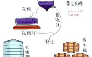 自制葡萄酒的配方_家庭酿酒常见问题