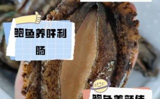 鲍鱼的营养价值有多高_孕妇能吃鲍鱼吗