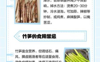 鲜竹笋怎么处理才不会苦_竹笋去苦味的正确方法