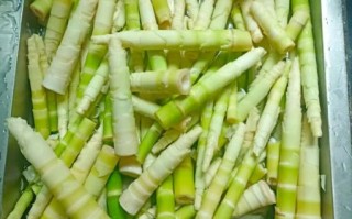 一岁宝宝能吃冬笋吗_冬笋怎么做给一岁宝宝吃