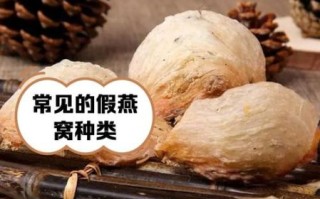 真燕窝一般多少钱一斤_如何辨别真假燕窝