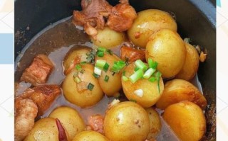 土豆炖猪肉怎么做_家常做法步骤详解