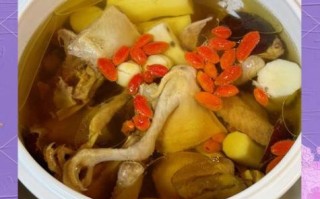鸽子汤和什么一起炖最补_鸽子煲汤最佳搭配