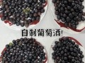 葡萄酒怎么在家做_葡萄酒制作视频教程