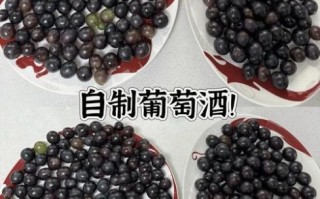 葡萄酒怎么在家做_葡萄酒制作视频教程