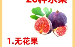 坐月子可以吃什么水果_最适合产妇的6种水果