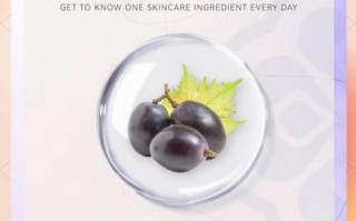 葡萄籽提取物有什么功效_葡萄籽提取物的作用与副作用