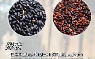 黑糯米是什么米_黑糯米和黑米一样吗