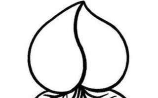 寿桃简笔画怎么画_寿桃简笔画步骤