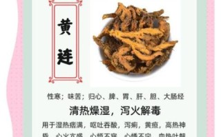 黄连的功效与作用_黄连能治疗哪些疾病